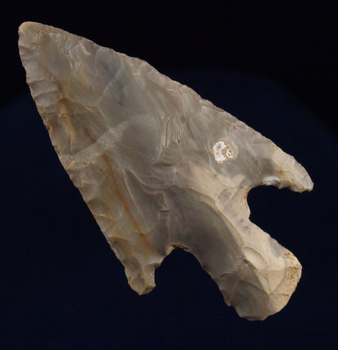 Penbrandt Prehistoric Artifacts - Extra Photos - FA1680